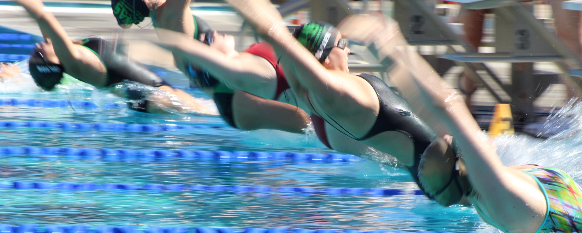 South West Aquatic Sports Home